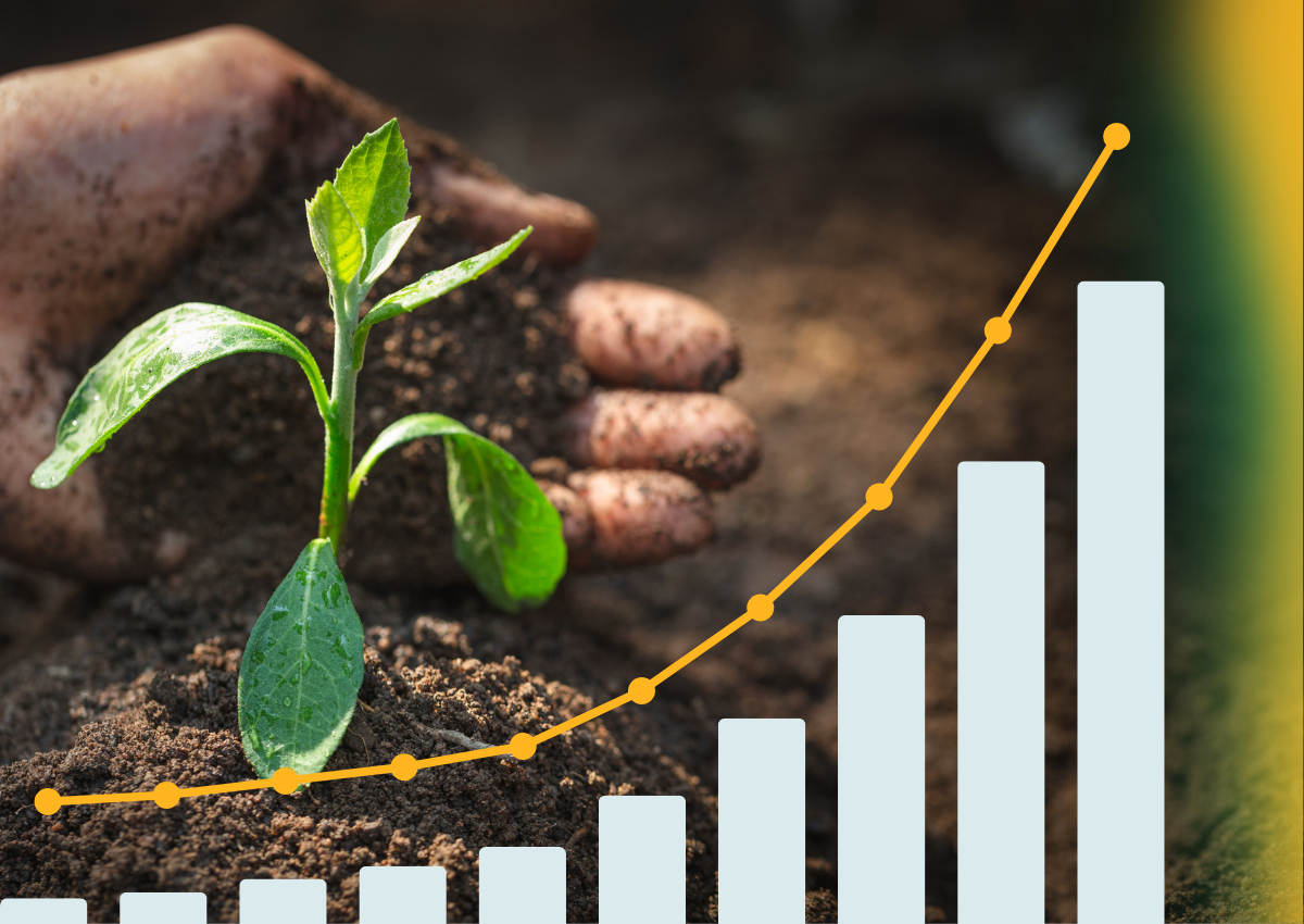 Quantifying The Business Benefits Of A Regenerative Value Chain Earth